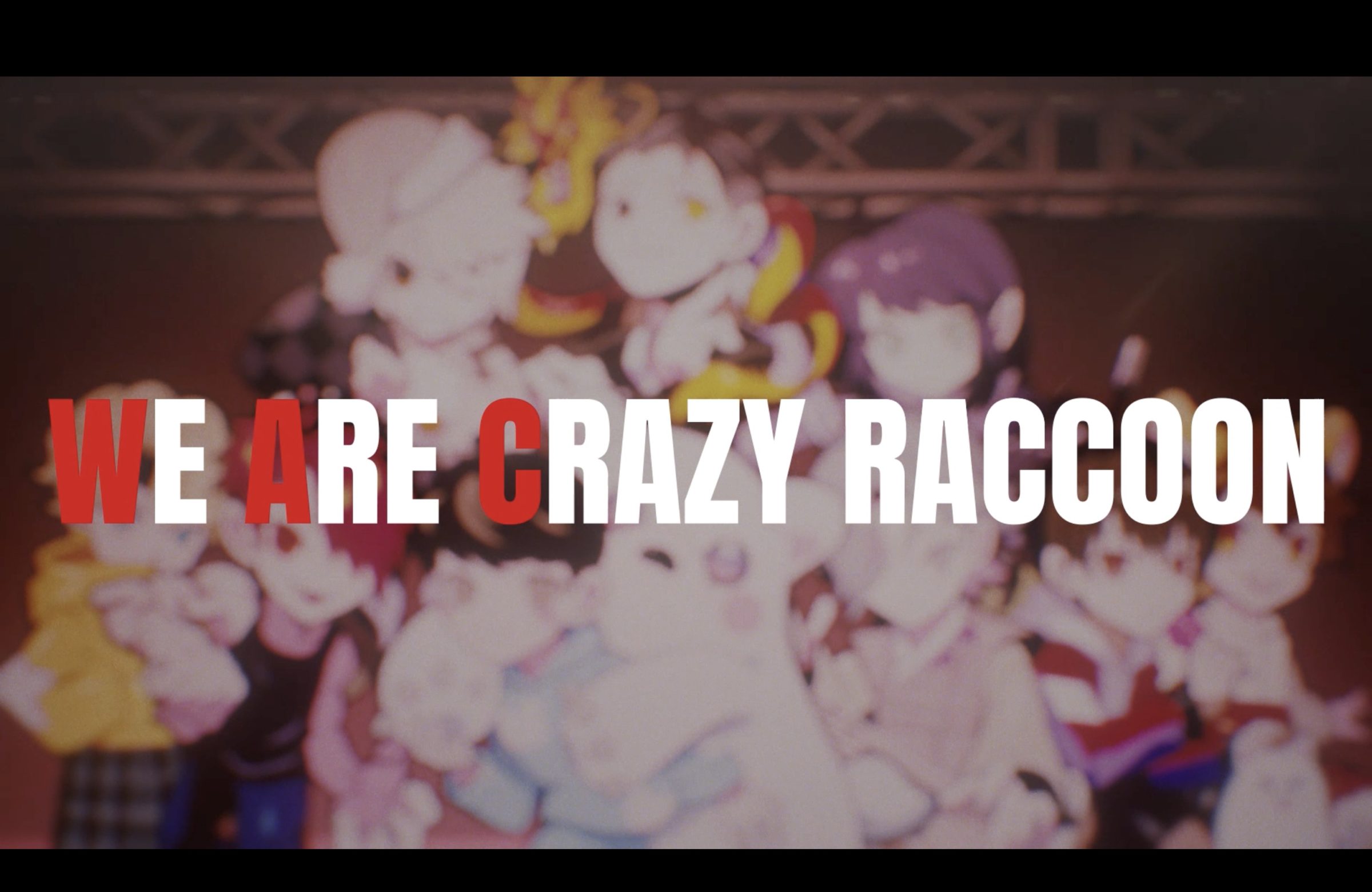 TEAM - Crazy Raccoon