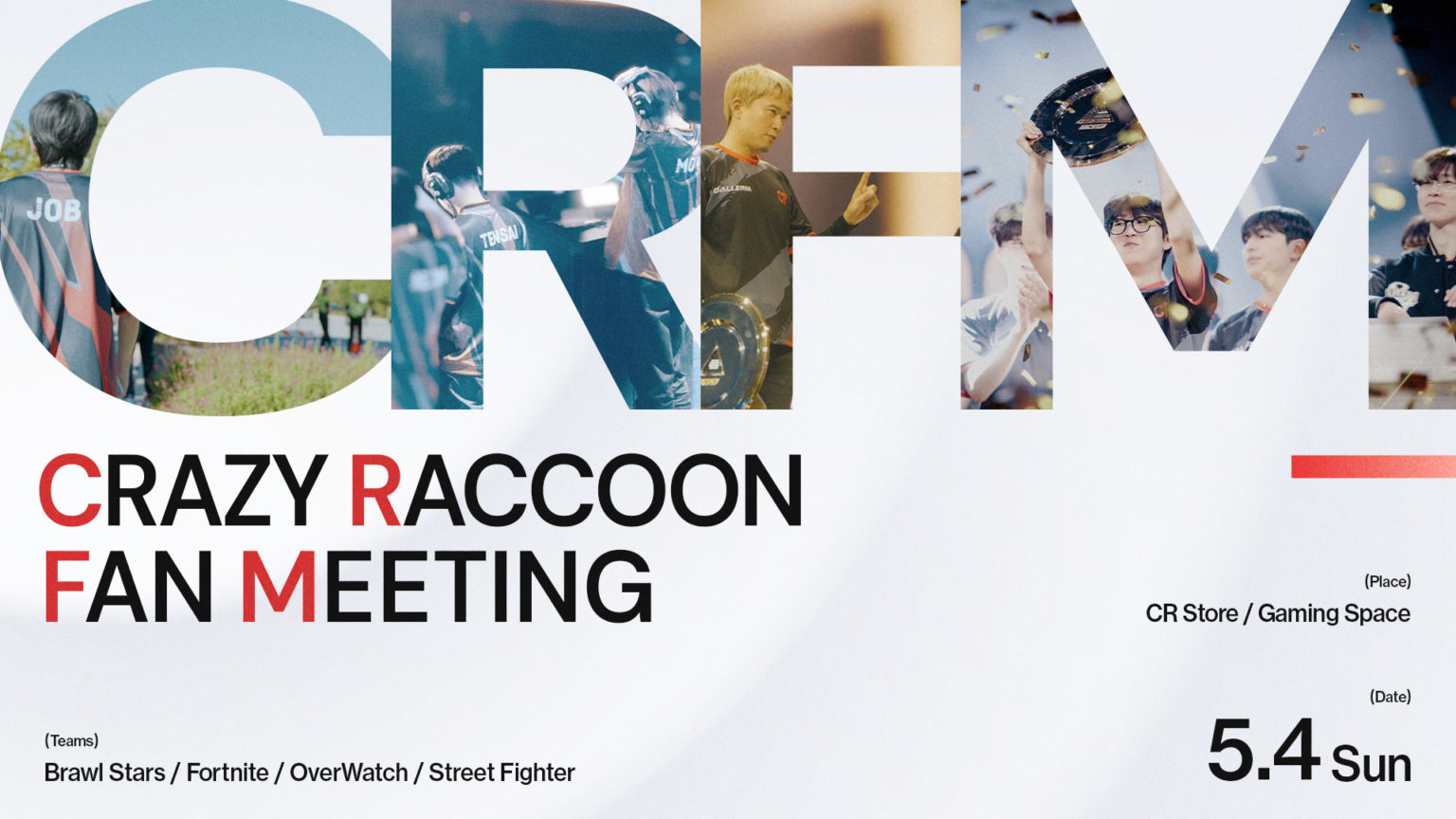 TEAM - Crazy Raccoon