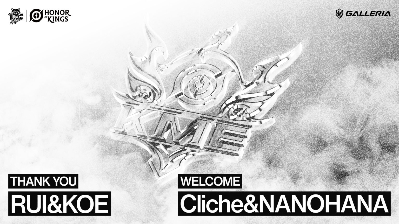 TEAM - Crazy Raccoon